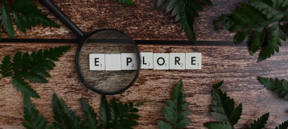 Educators: Lessons on Digital Footprints