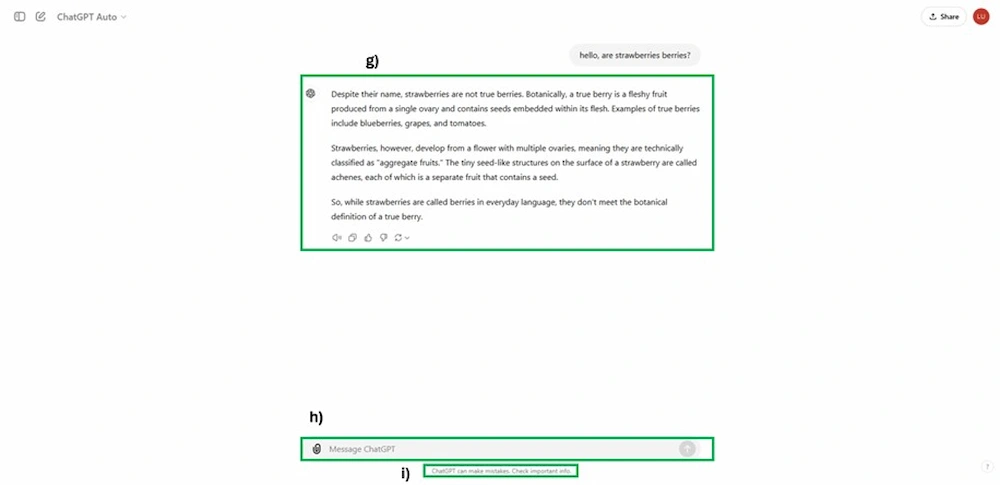How to Use ChatGPT: A Complete Beginner's Guide - DFL