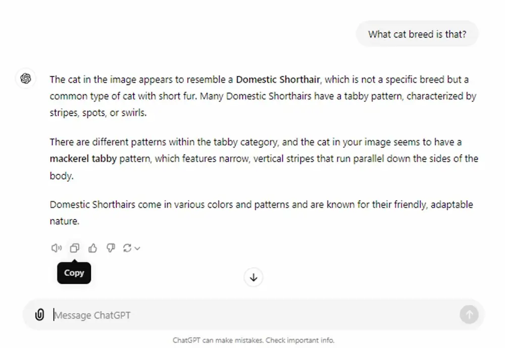 How to Use ChatGPT: A Complete Beginner's Guide - DFL
